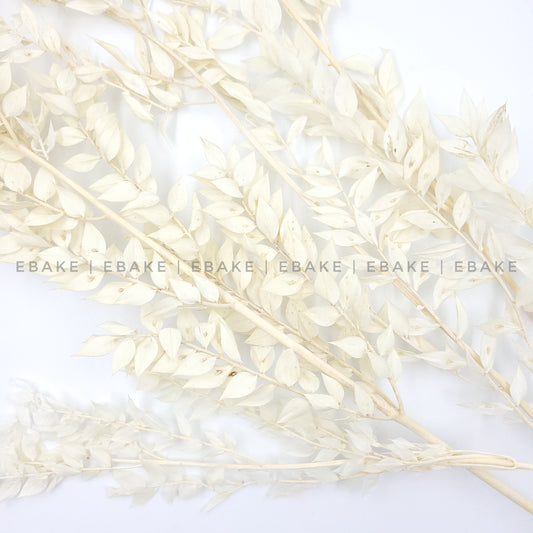 Italian Ruscus & Eucalyptus – EBAKE