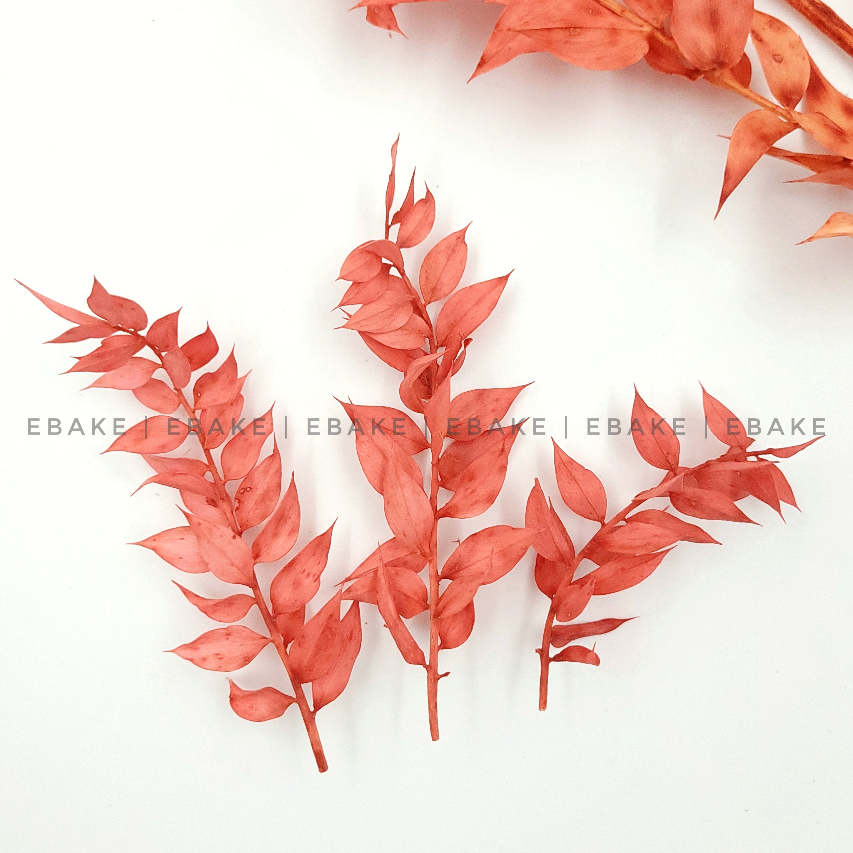 Italian Ruscus & Eucalyptus – EBAKE