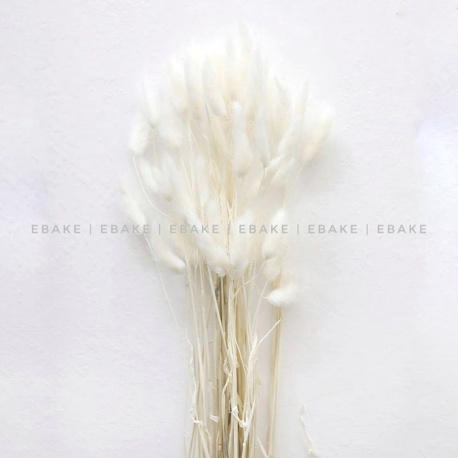 Bunny Tails – EBAKE